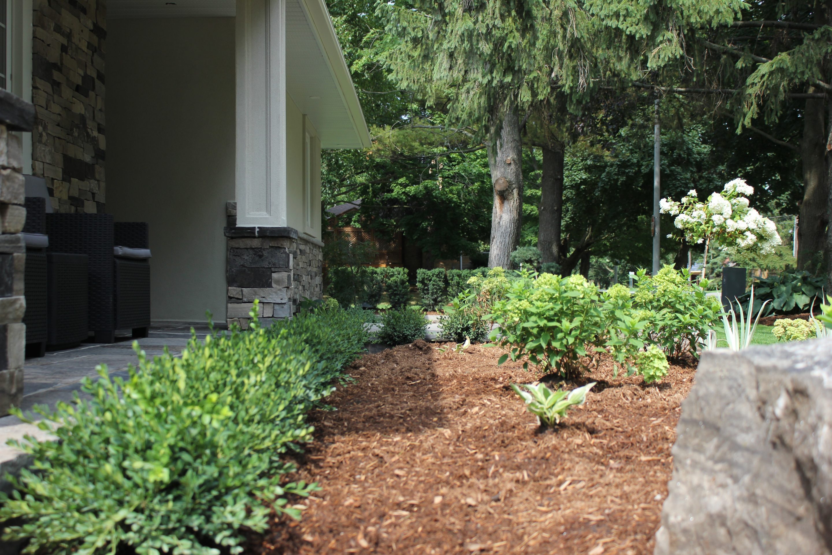 Home - Francesca Designs